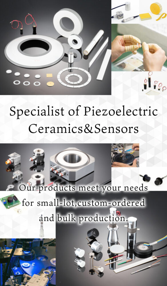 Becoming a world standard with specialized piezoelectric ceramics ...